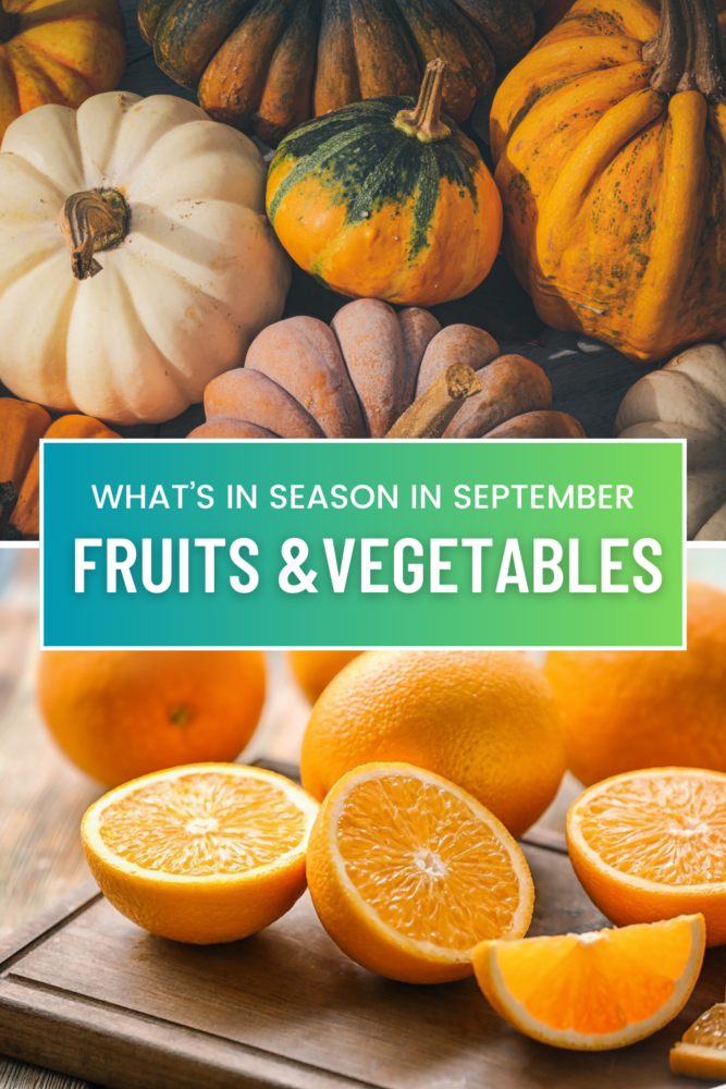 37 Top Fruits and Vegetables in Season in September